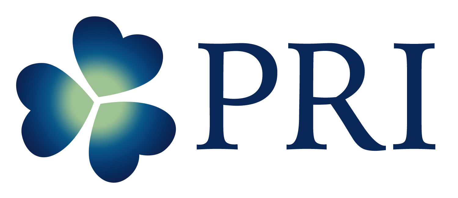 Wat is PRI - Ten Volle Leven - PRI Therapie - Heemskerk